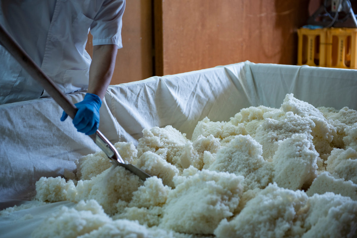 The scoop on Sake rice - Part 1 – SAKE MAMA | 日本酒ママ