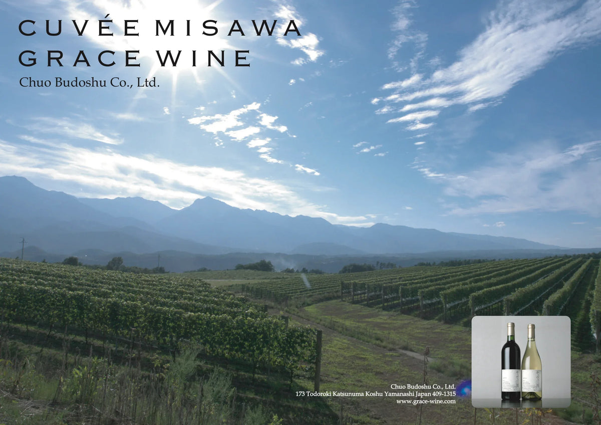 Ayana Misawa, Head Winemaker, Grace Wines of Yamanashi – SAKE MAMA | 日本酒ママ